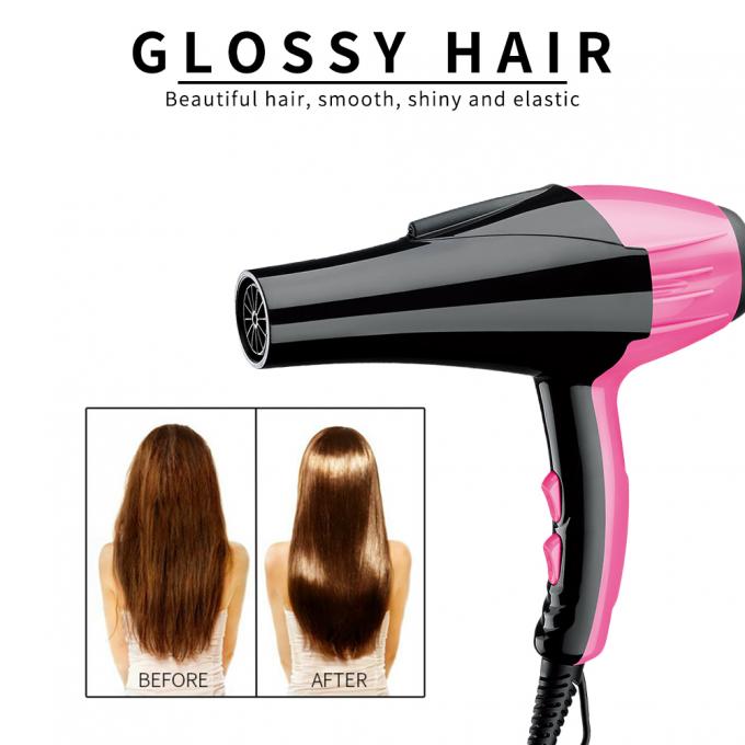 Rohs 230v Negative Ionic Ac Hair Dryer With Diffuser And Concentrator