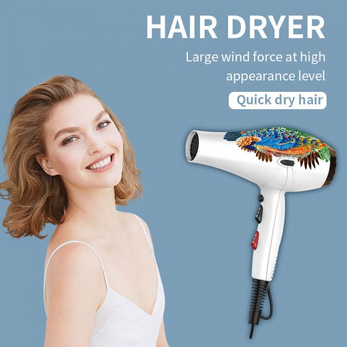 Multifunctional 2100w 2 Speed Ac Hair Dryer Private Label Portable Blow